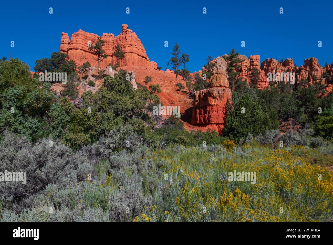Landscape view along Scenic Byway 12, Red Rock Canyon, Dixie National ...