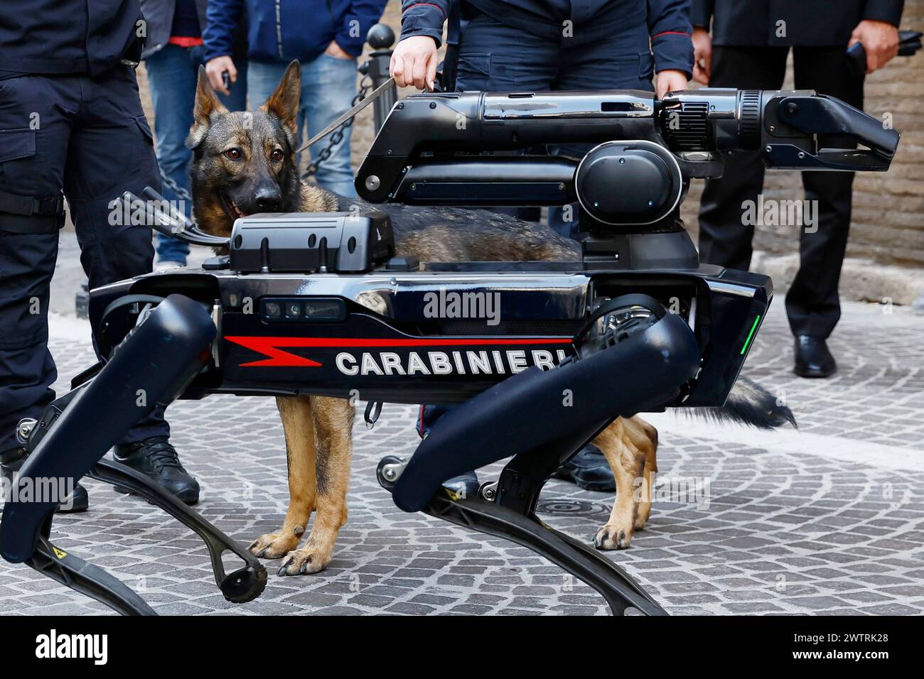 Saetta il cane robot artificiere dei Carabinieri con il cane ...