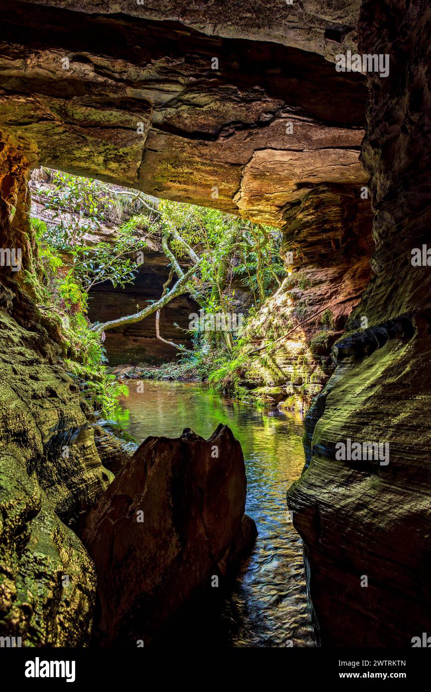 River crossing the cave and rainforest in Carrancas, Minas Gerais ...