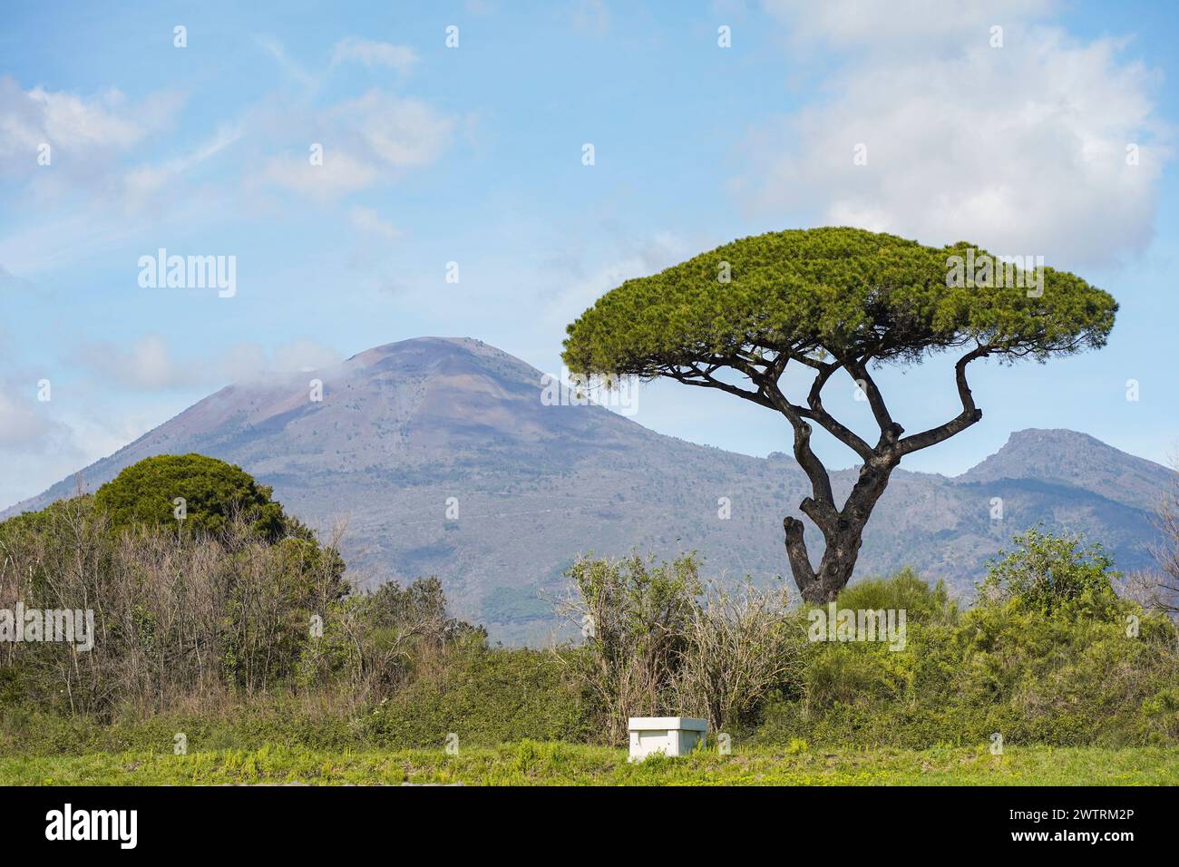 Vesuvius volcano seen from Roman city of Pompeii, Naples, Italy Stock ...