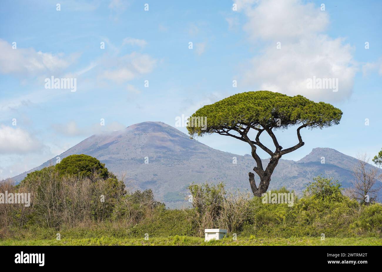 Vesuvius volcano seen from Roman city of Pompeii, Naples, Italy Stock ...