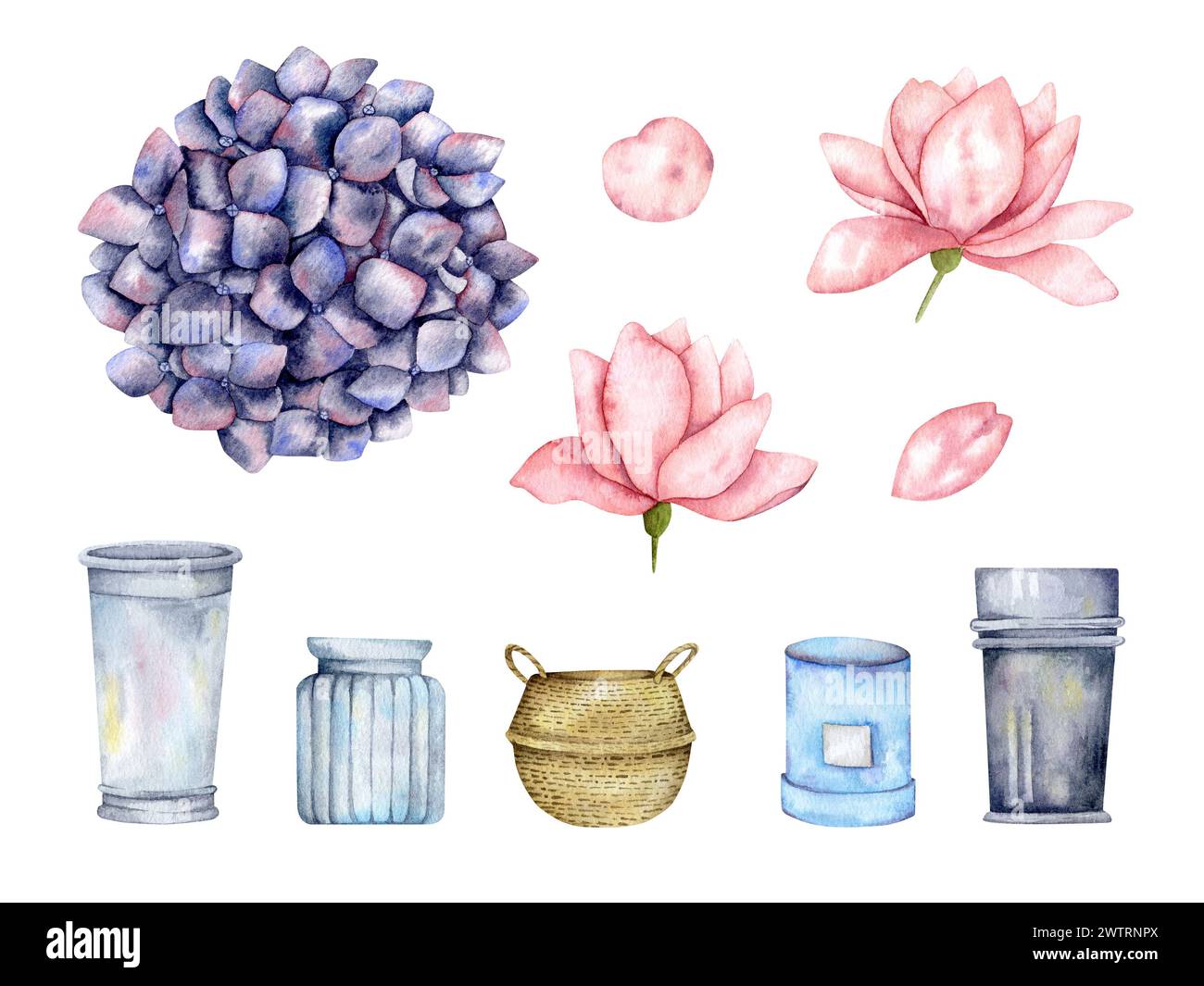 Hand-drawn watercolor illustration with flowers and packing, vases for ...