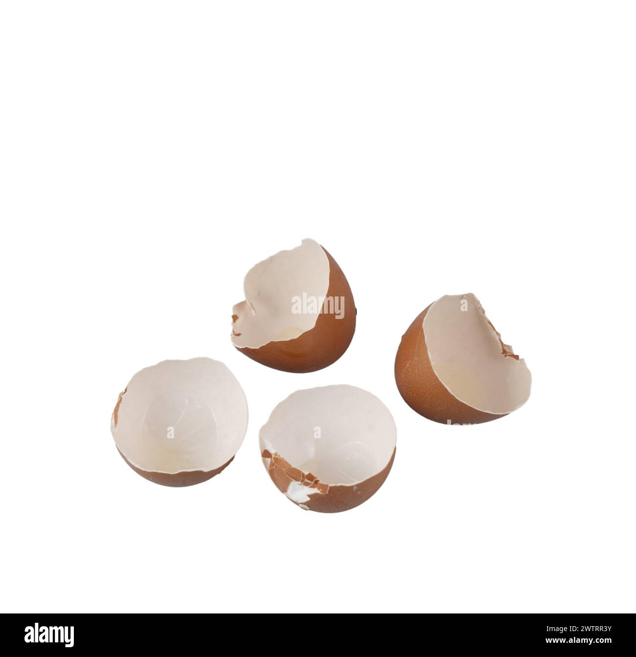 Egg shells on a transparent background Stock Photo - Alamy