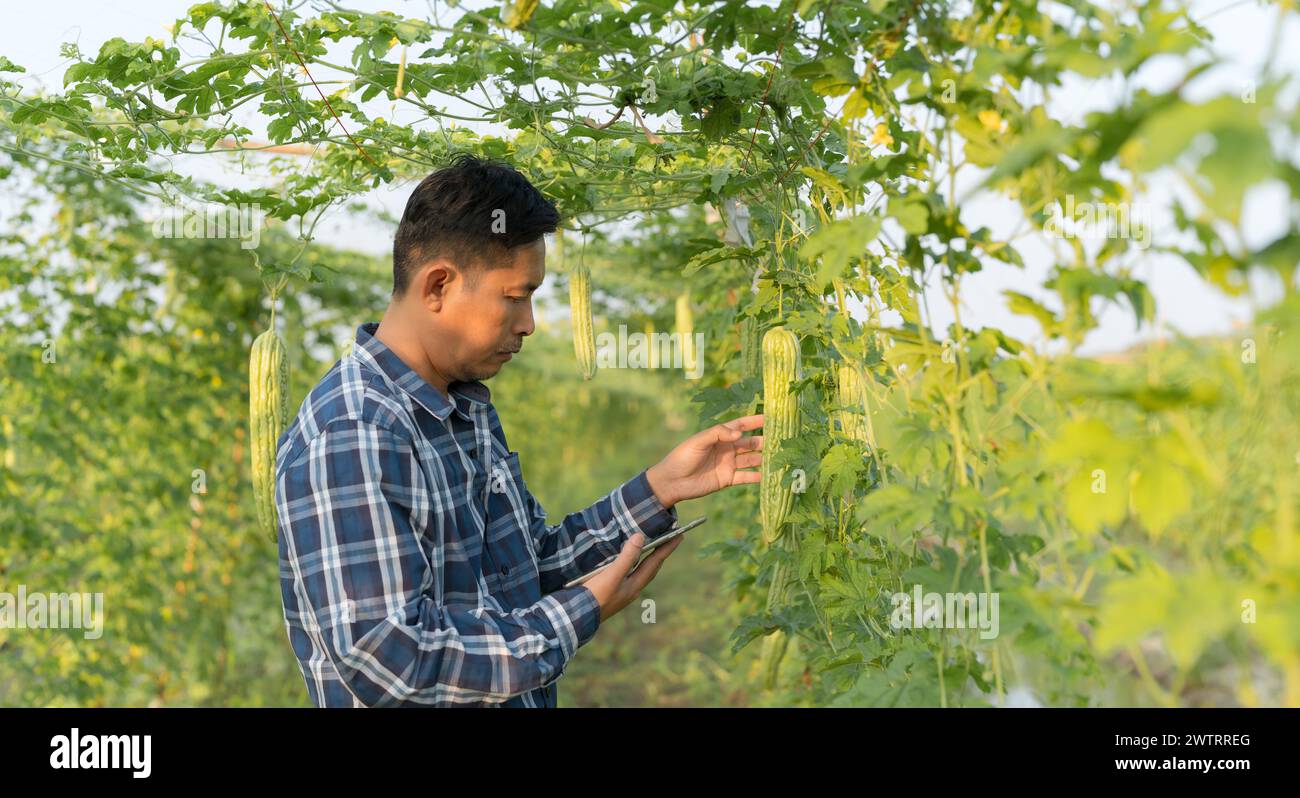 Smart farming agriculture concept, Agricultural Research Officer ...