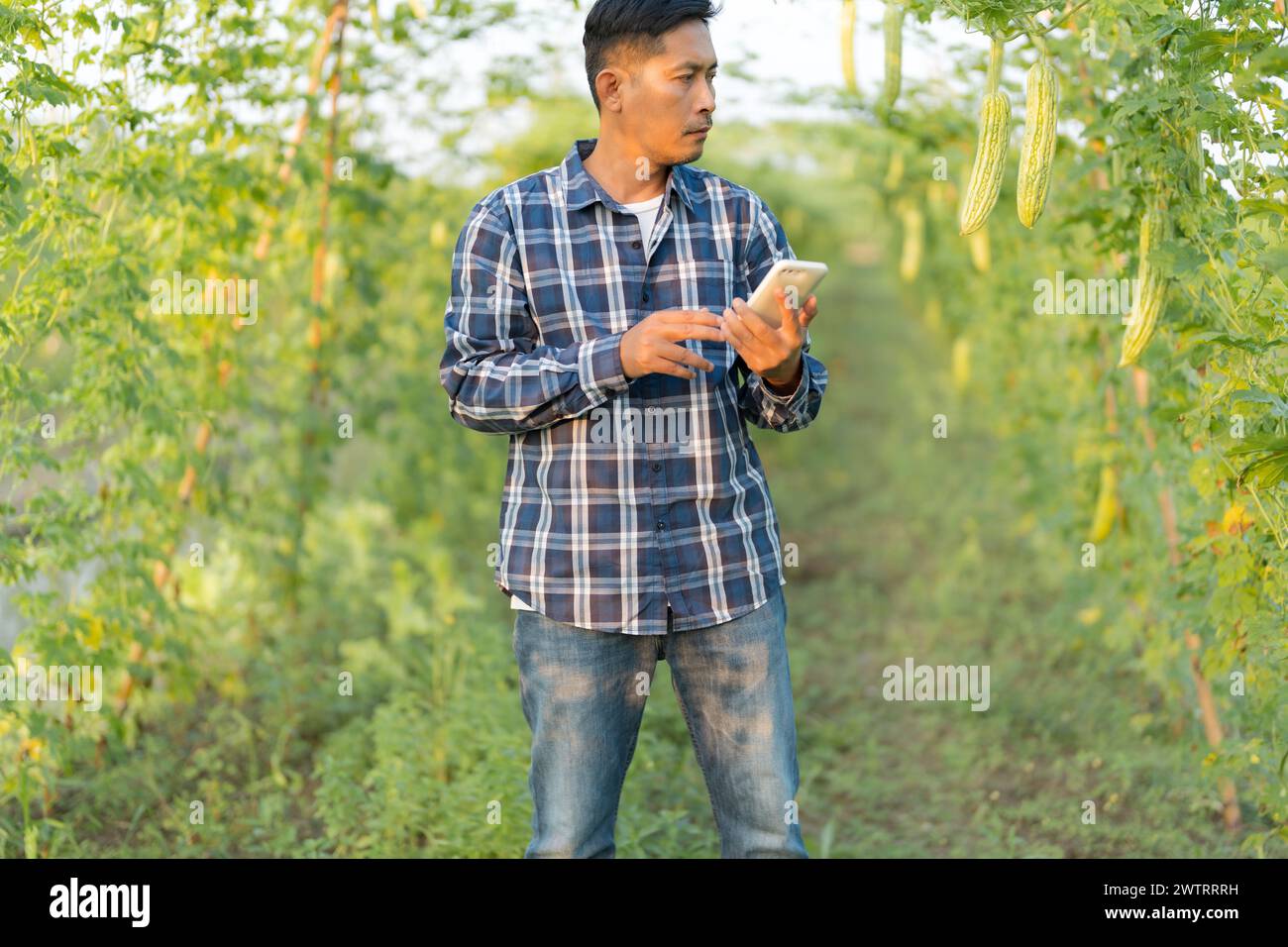 Smart farming agriculture concept, Agricultural Research Officer ...