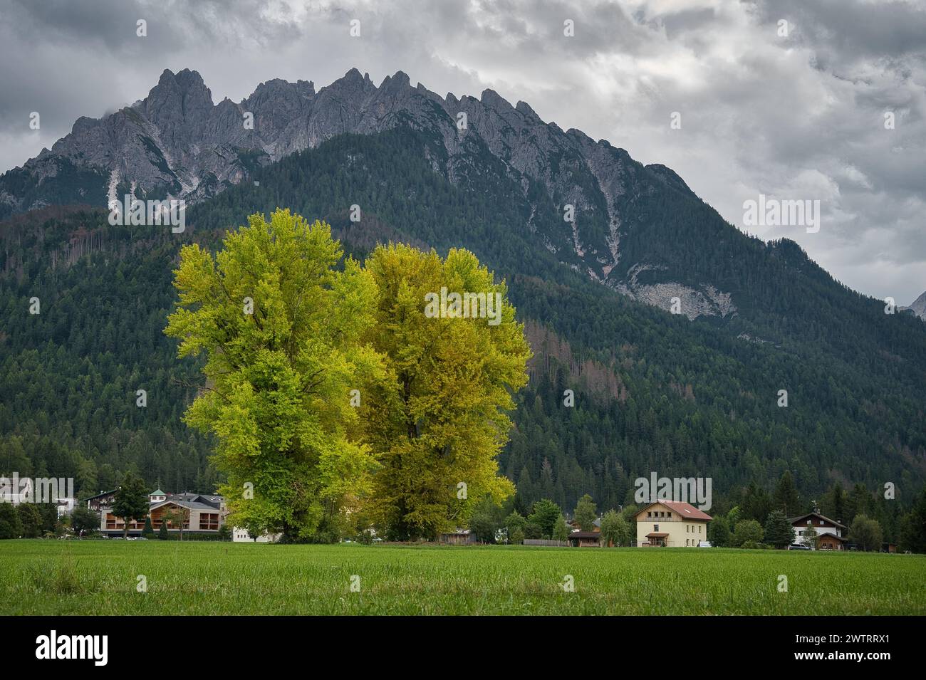 A vibrant green field with a majestic mountain backdrop: Dobbiaco ...