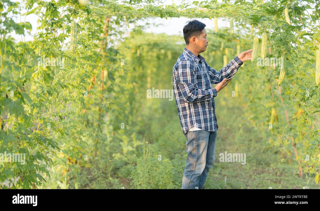 Smart farming agriculture concept, Agricultural Research Officer ...