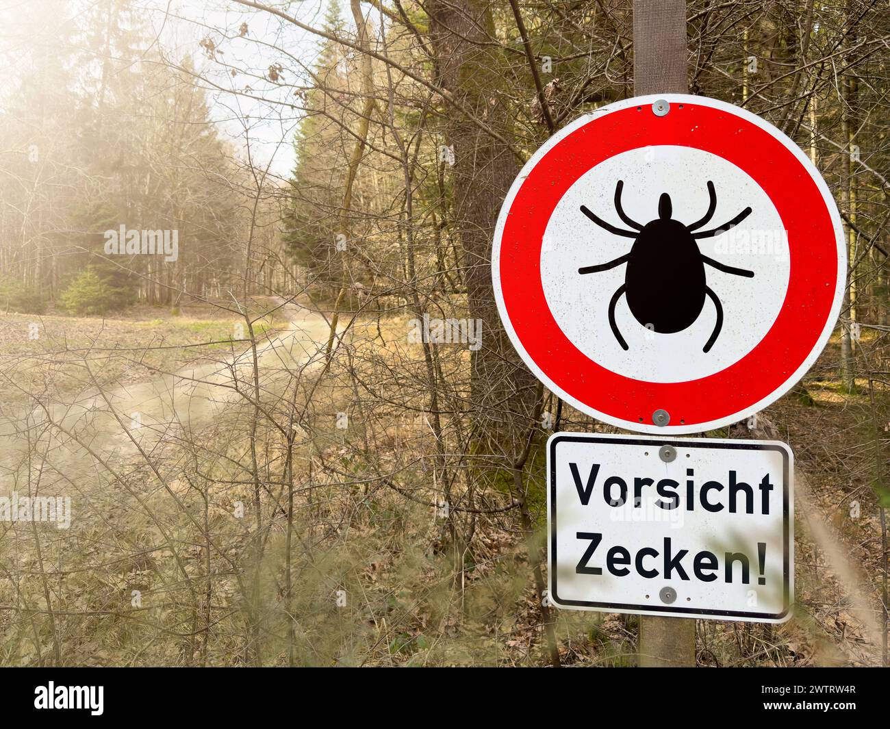 19 March 2024: Watch out for ticks Warning sign in the forest in front ...