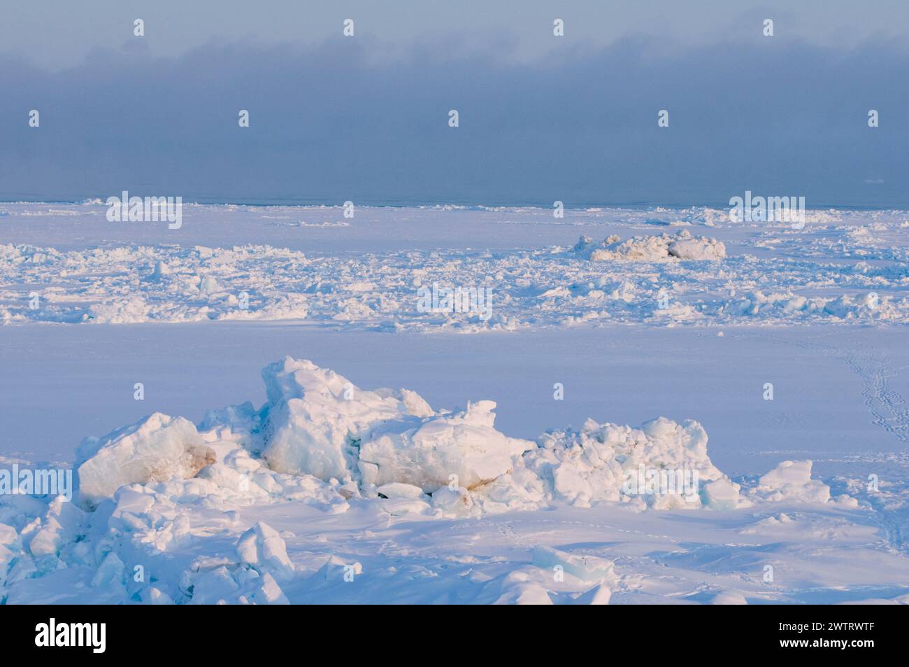 Seascape of rough pack ice over the Chukchi sea in springtime, off ...
