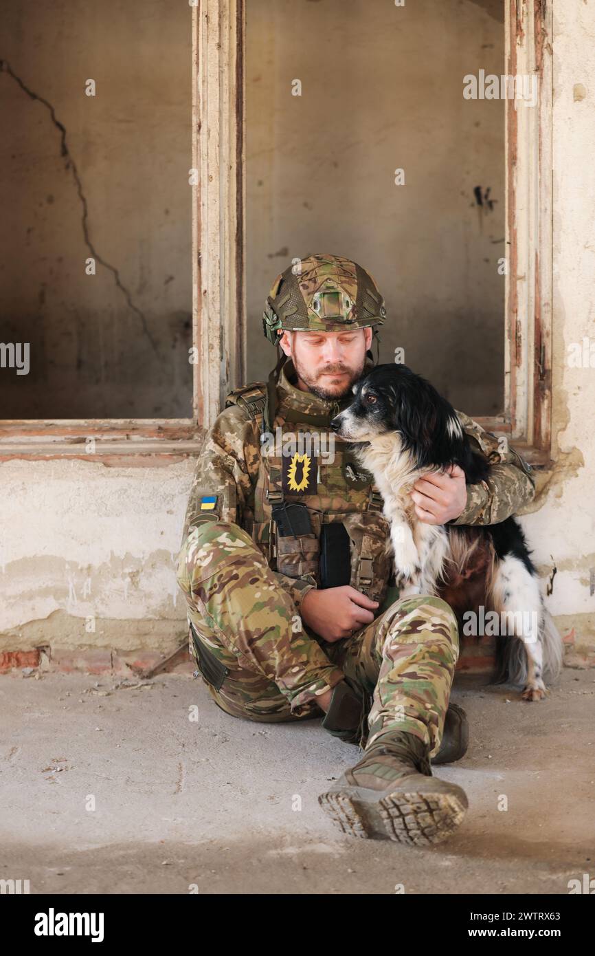 Ukrainian soldier sitting with stray dog in abandoned building Stock ...