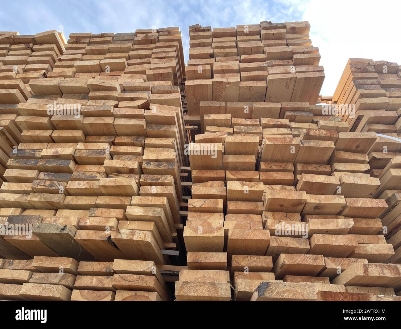 Stacked Timber Planks at a Lumberyard Awaiting Transportation. Stacked ...