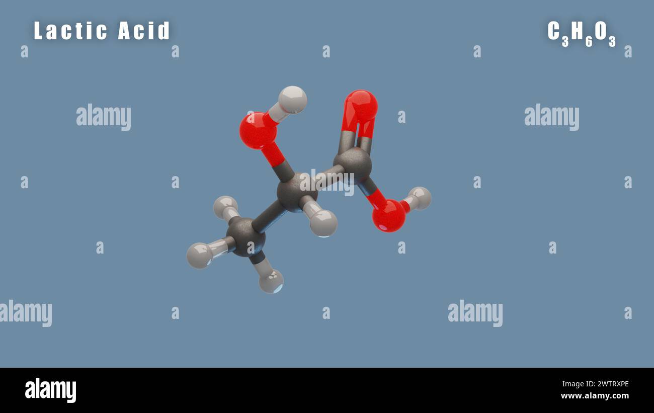 Lactate transport across cell membranes hi-res stock photography and ...