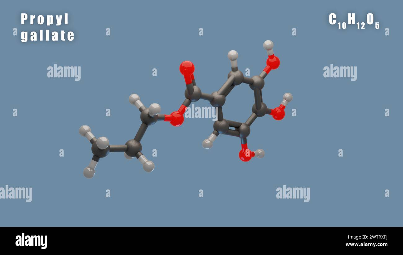 Propyl gallate of C10H12O5 3D Conformer animated render. Food additive ...