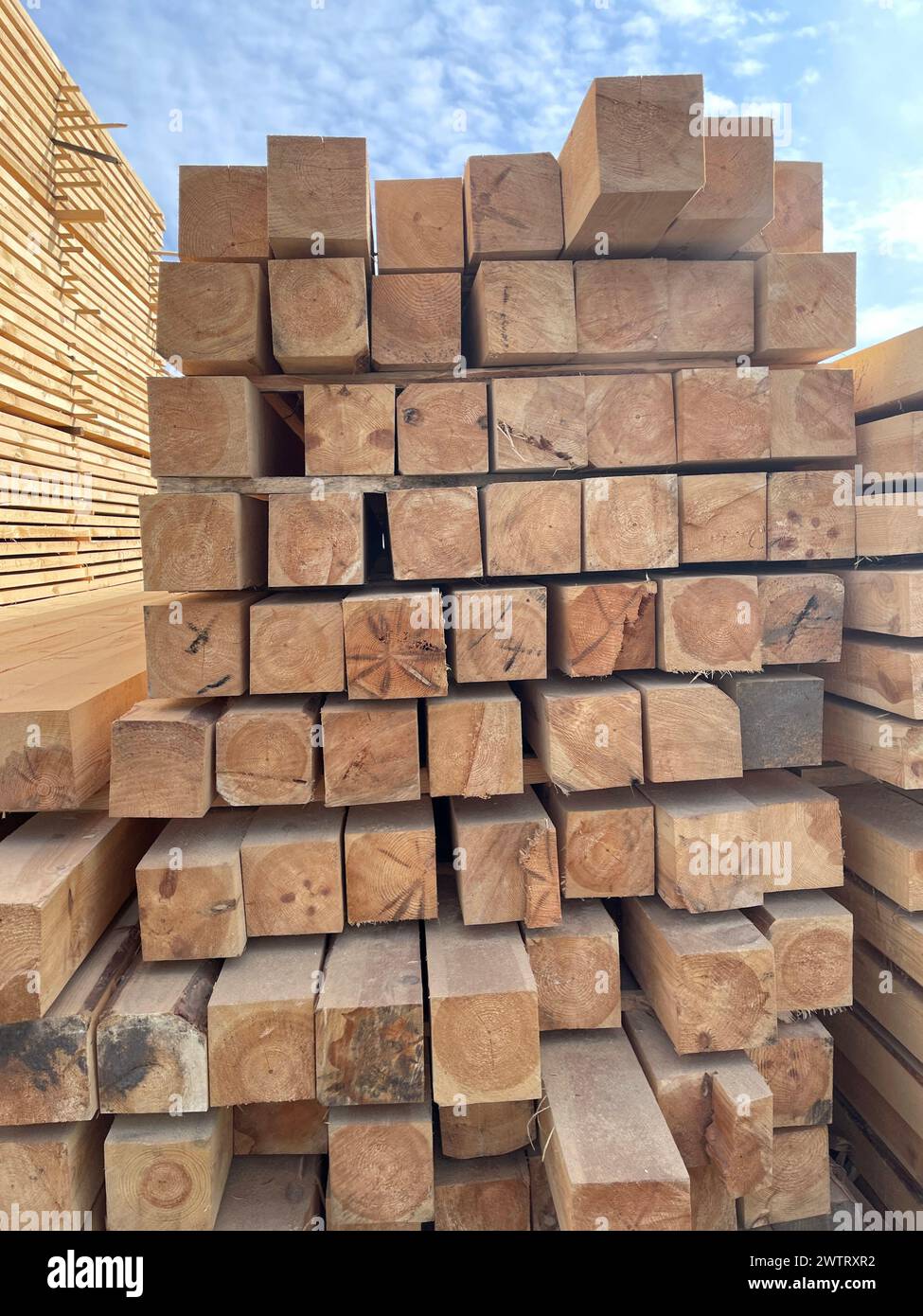 Stacked Timber Planks at a Lumberyard Awaiting Transportation. Stacked ...