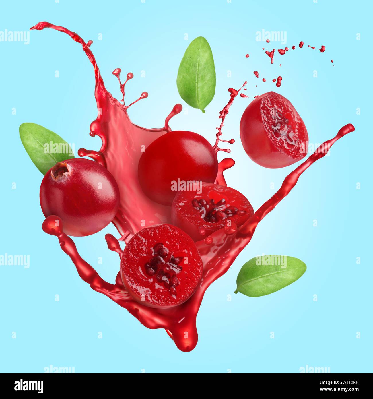 Delicious ripe cranberries, green leaves and splashing juice in air on ...