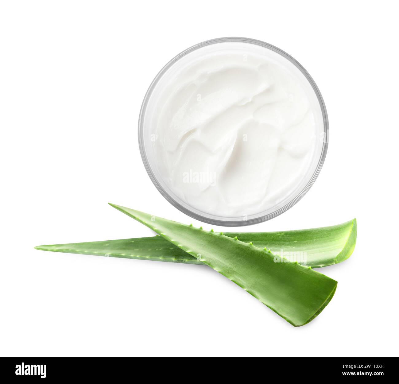 Moisturizing cream with extract of aloe vera. Jar and green aloe leaves ...