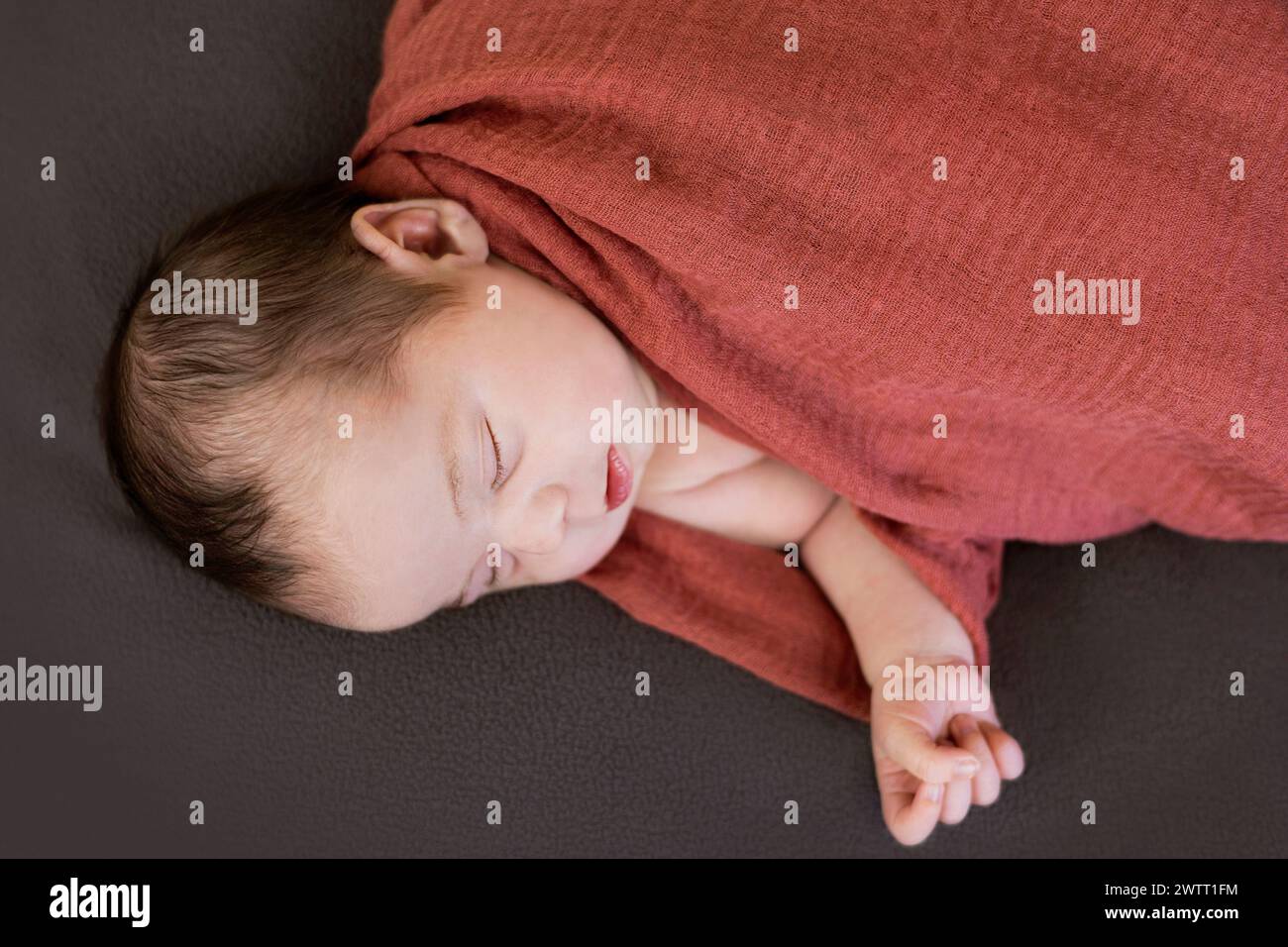 One week old newborn baby girl sleeping wrapped in cloth for studio ...