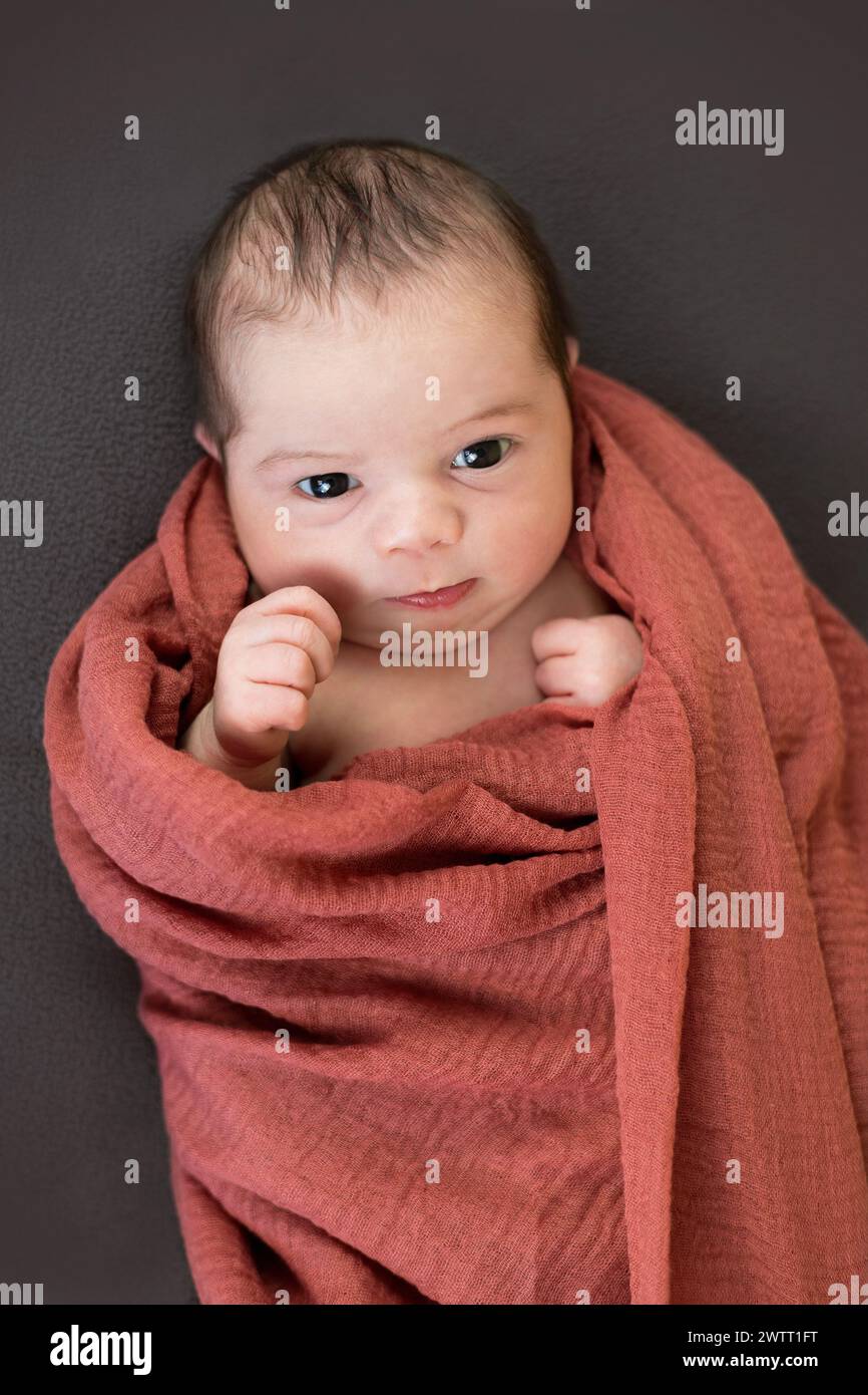 One week old newborn baby girl sleeping wrapped in cloth for studio ...