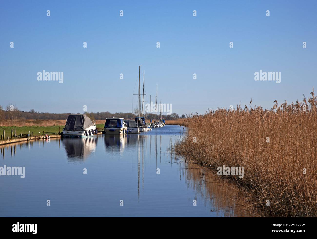 A view of cruisers and yachts moored in the Boat Dike by the marshes on ...