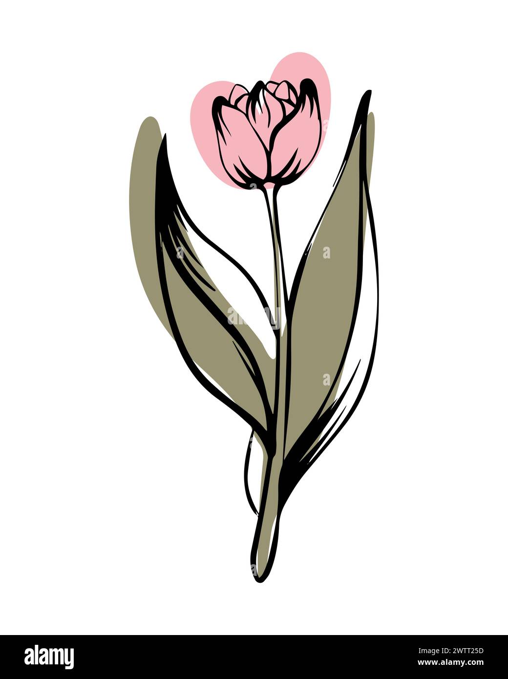 Tulip In Sketch Style With Abstract Color Shapes Hand Drawn Isolated On White Background Stock