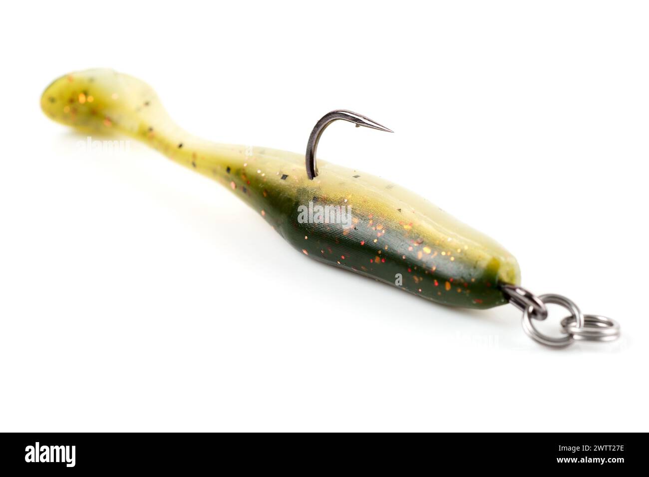 Shad fish hi-res stock photography and images - Alamy