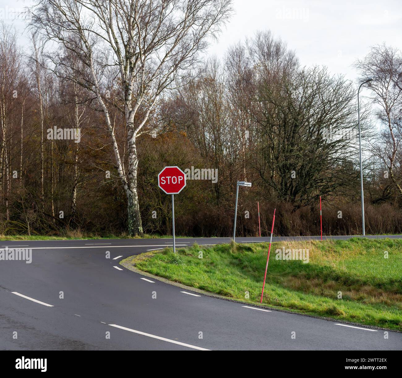 Road crossing with stop sign Stock Photo - Alamy