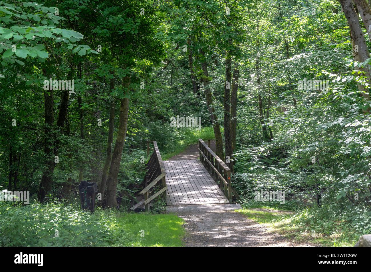 Wooden bridge on pathway in forest Stock Photo - Alamy