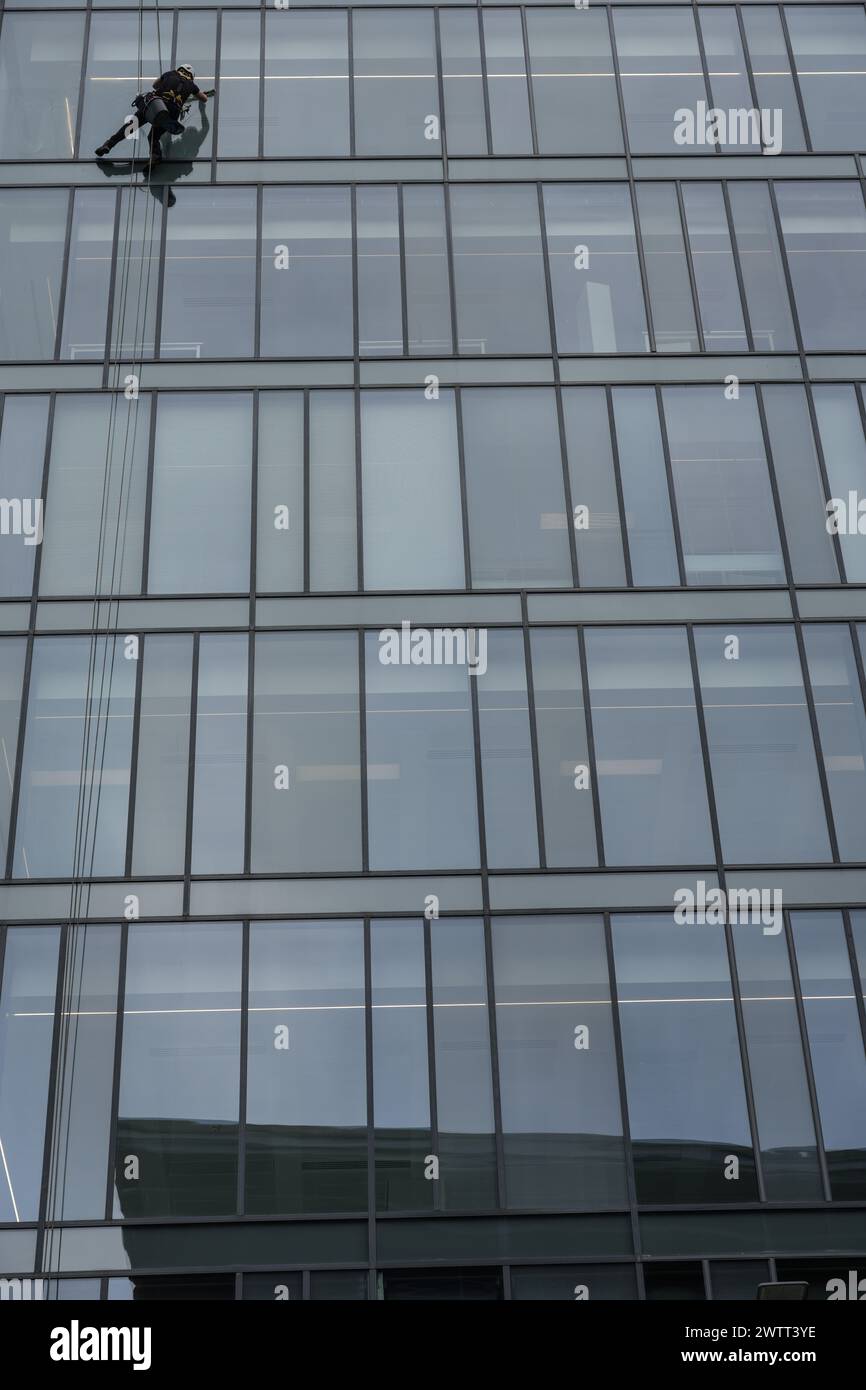 Window cleaners suspended on ropes clean the exterior windows of an ...