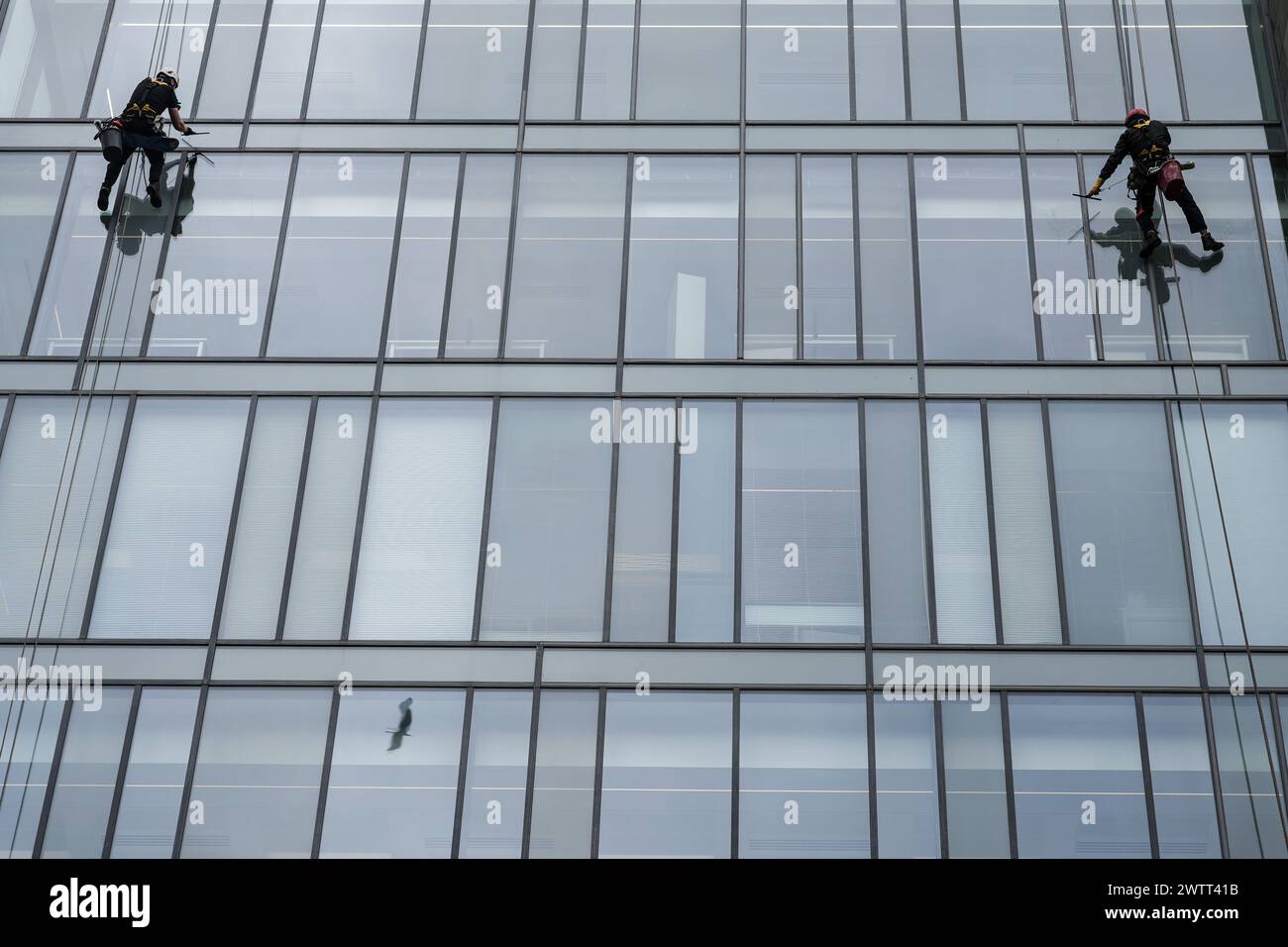 Office building windows hi-res stock photography and images - Alamy