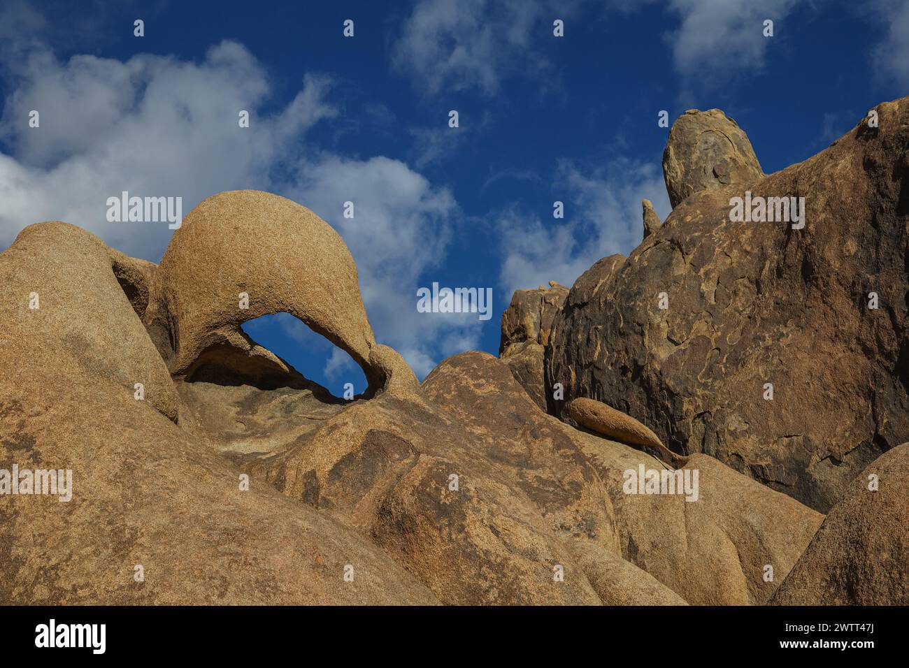 Baseball bat arch hi-res stock photography and images - Alamy