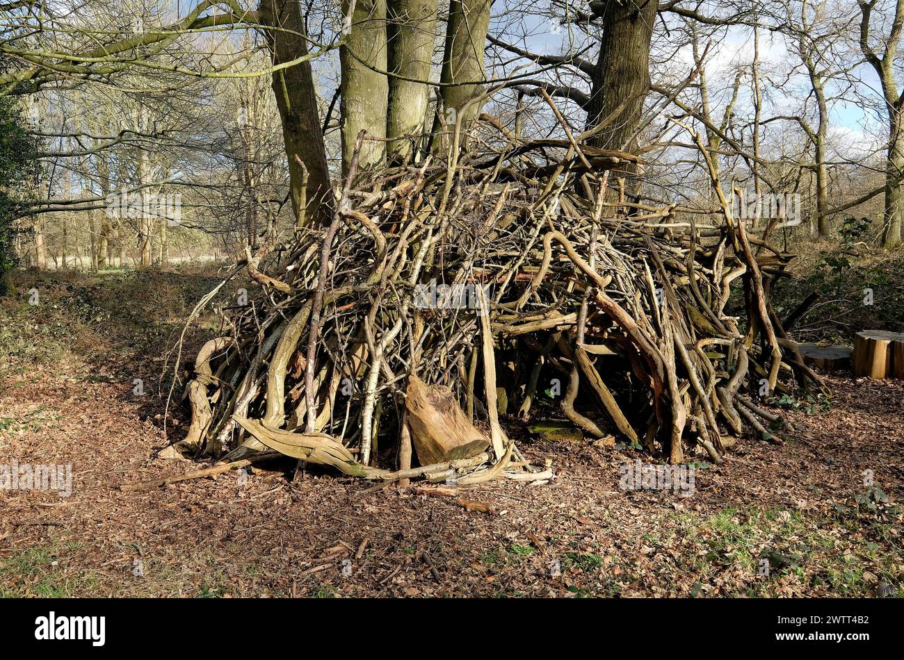 handmade woodland shelter den, north norfolk, england Stock Photo - Alamy