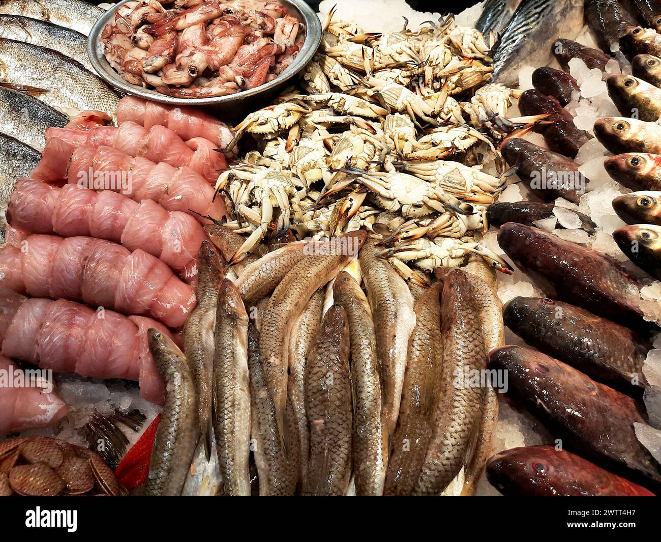 Fresh seafood of Tilapia fish, Mackerel fish, Saurida undosquamis, the ...