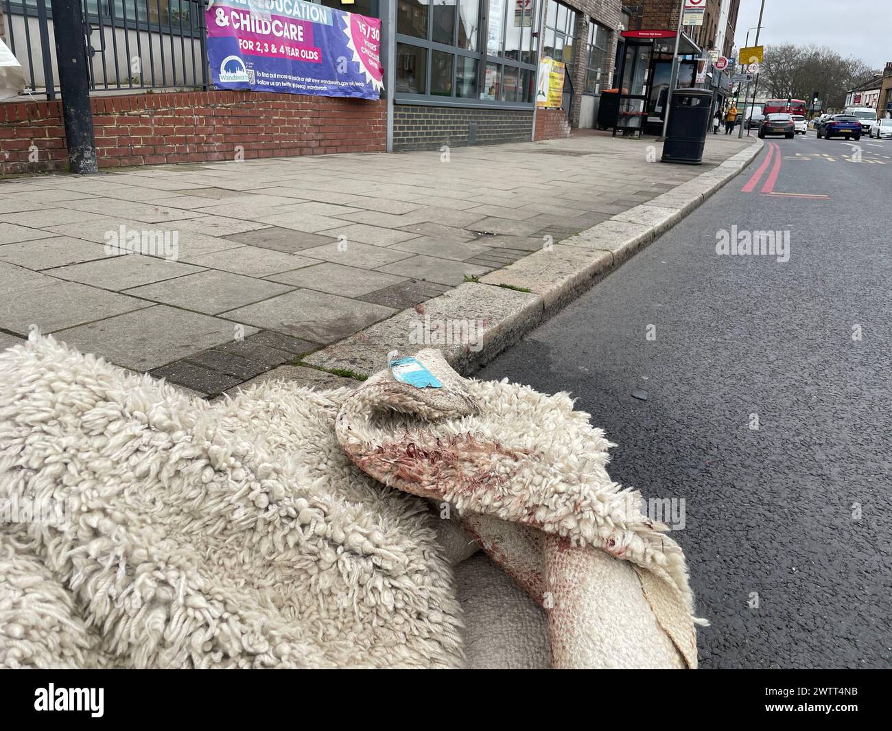 A blood stained blanket, which was used to subdue the dog, lies on a ...