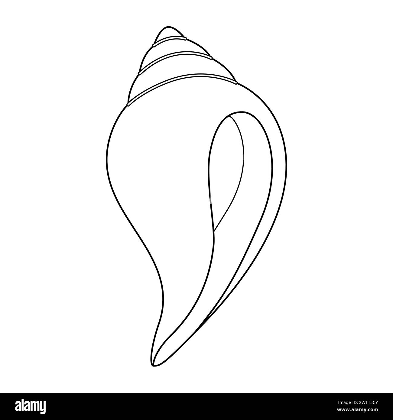 Seashell vector illustration. Black and white outline Seashell Coloring ...