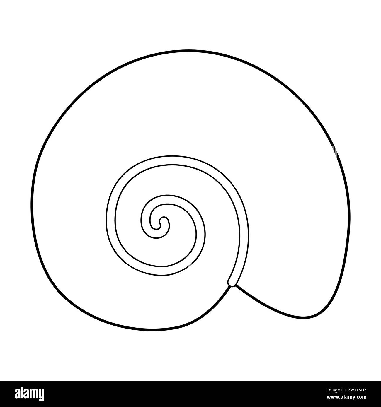 Seashell vector illustration. Black and white outline Seashell Coloring ...