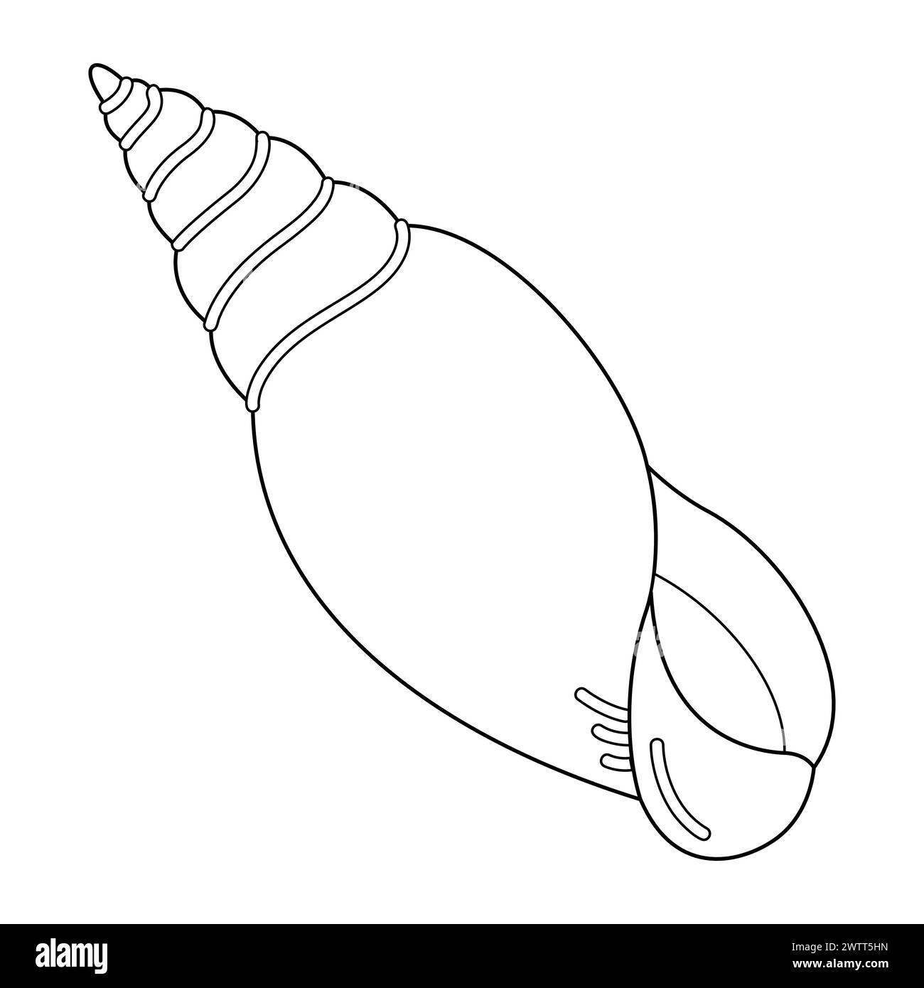 Seashell vector illustration. Black and white outline Seashell Coloring ...