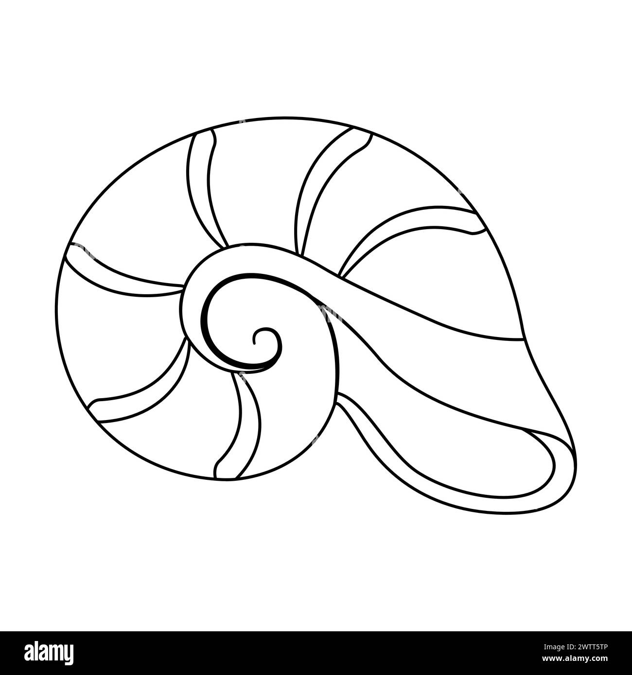 Seashell vector illustration. Black and white outline Seashell Coloring ...