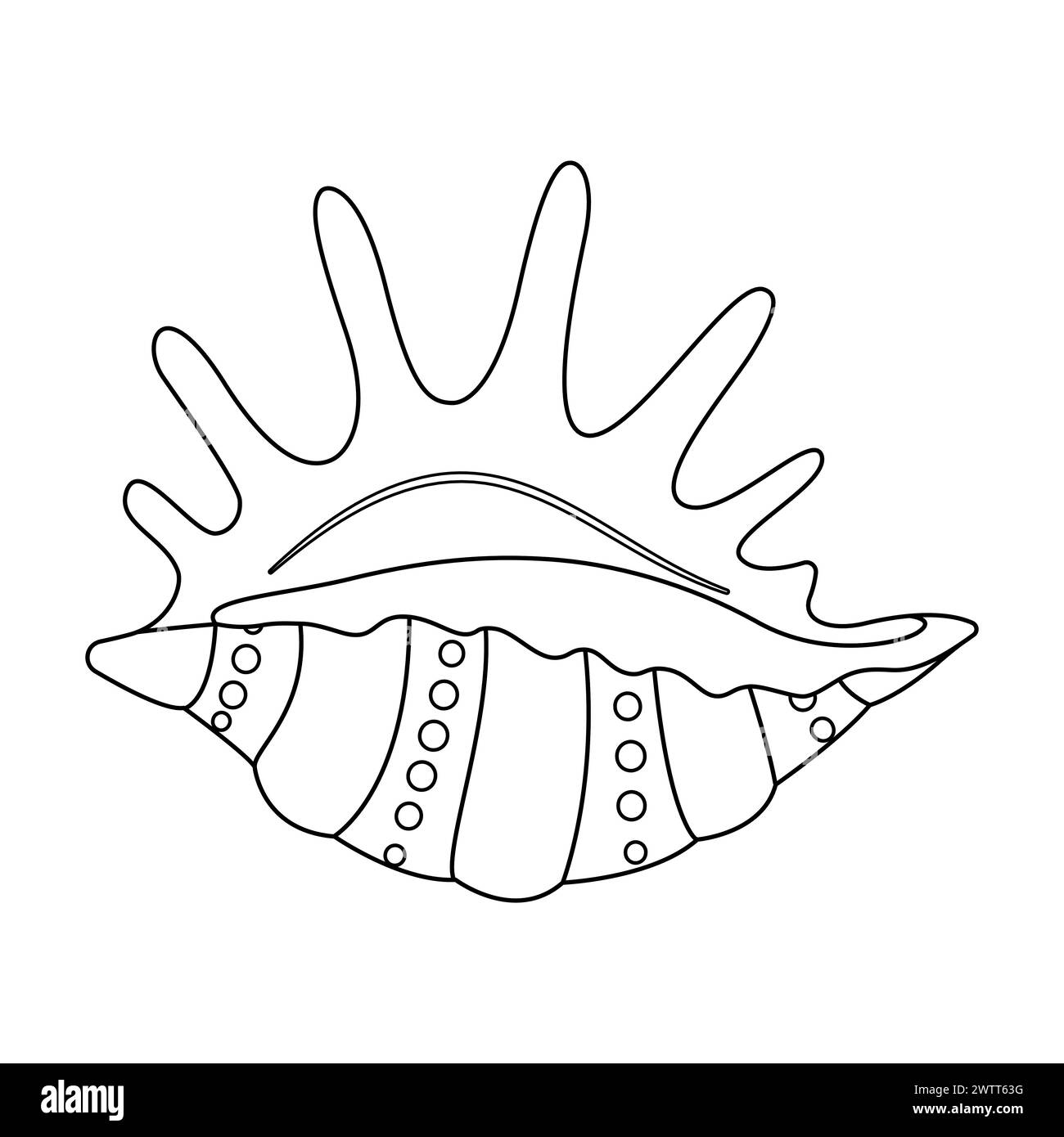 Seashell vector illustration. Black and white outline Seashell Coloring ...