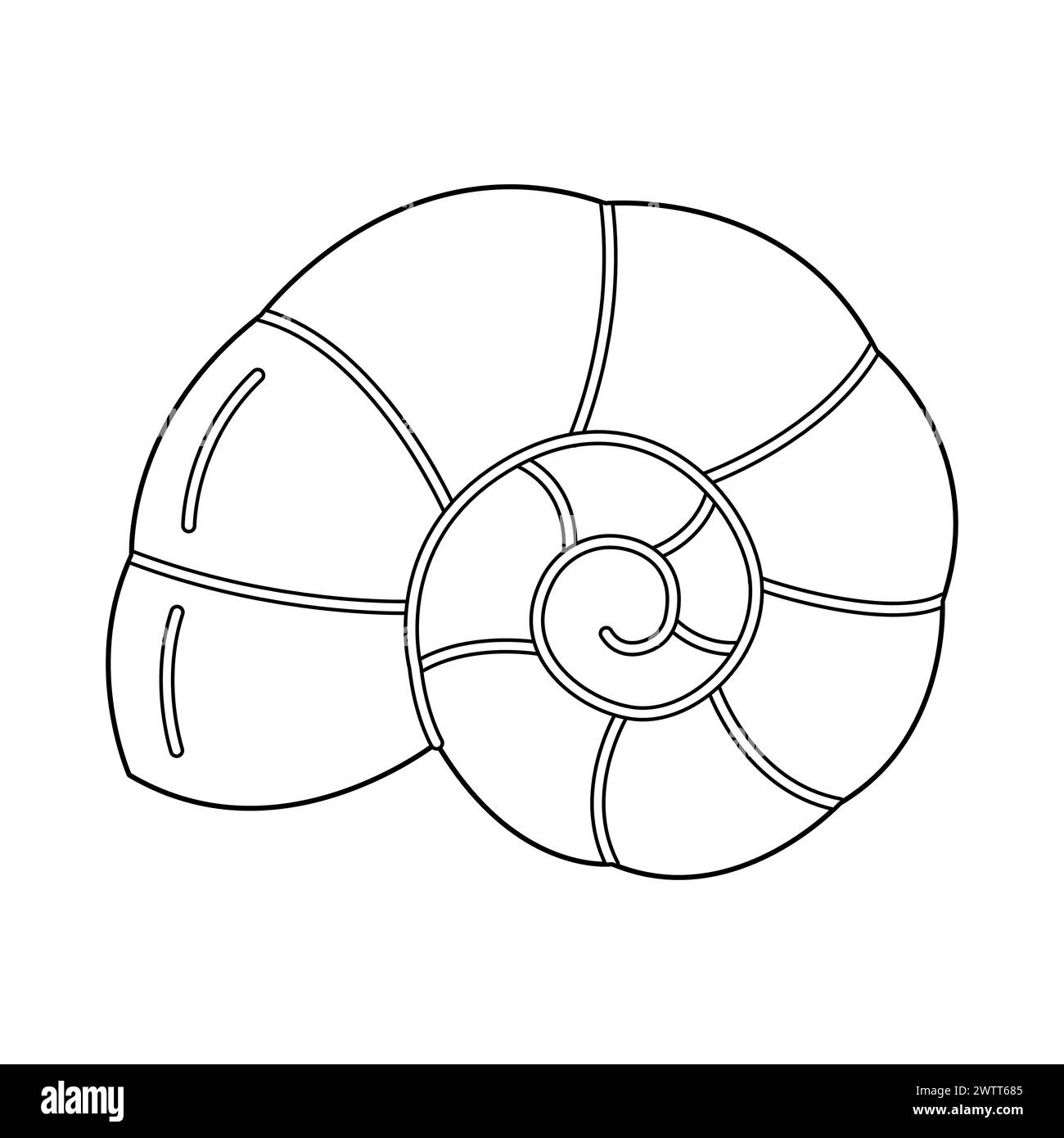 Seashell vector illustration. Black and white outline Seashell Coloring ...