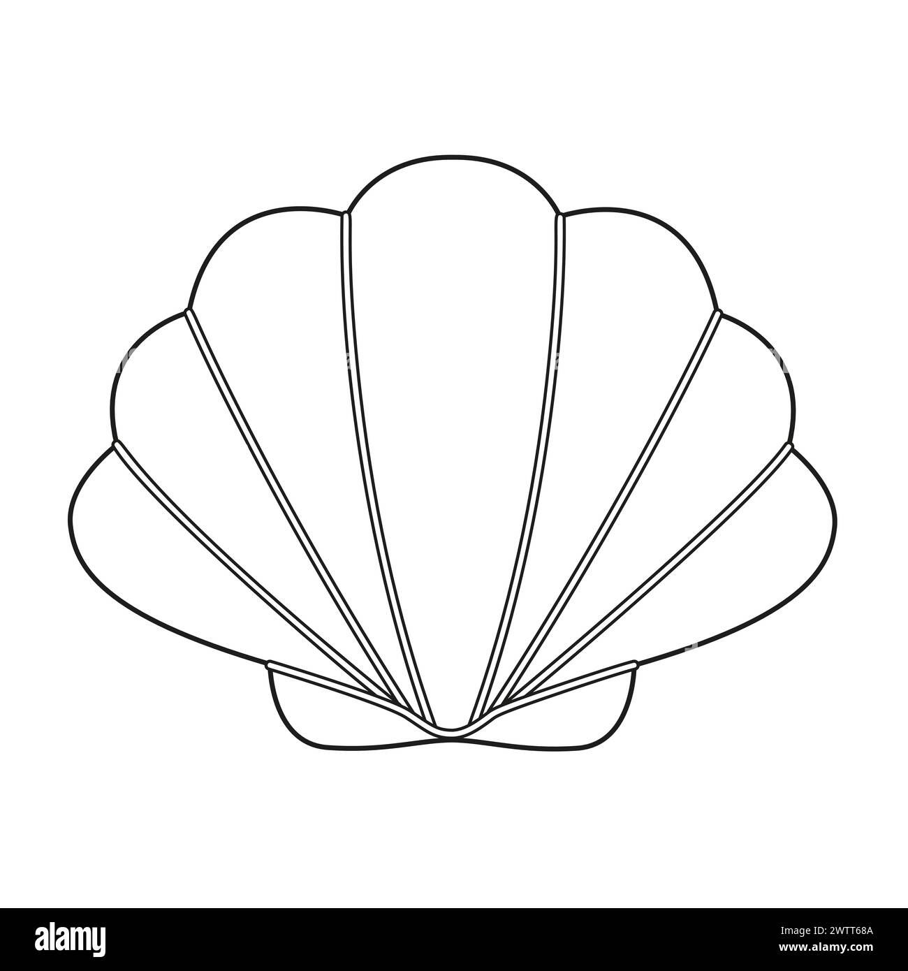 Seashell vector illustration. Black and white outline Seashell Coloring ...
