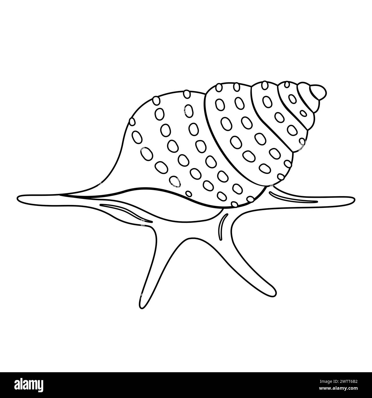 Seashell vector illustration. Black and white outline Seashell Coloring ...