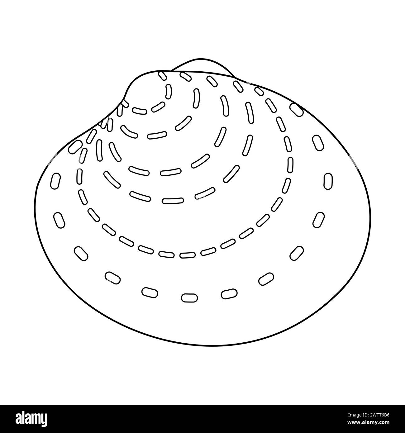 Seashell vector illustration. Black and white outline Seashell Coloring ...
