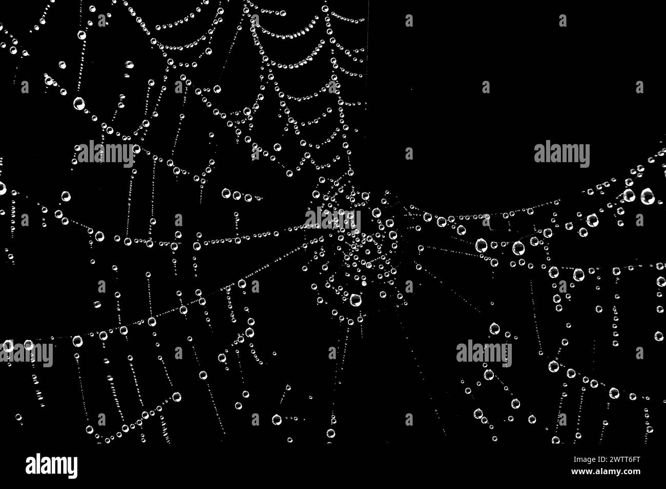Spiderweb symmetry hi-res stock photography and images - Alamy