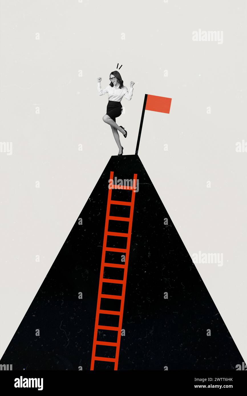 Vertical collage creative photo standing young woman top mountain rock ...