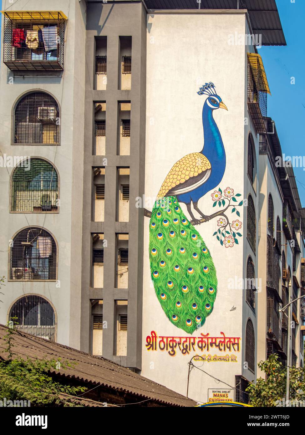 Picock hi-res stock photography and images - Alamy