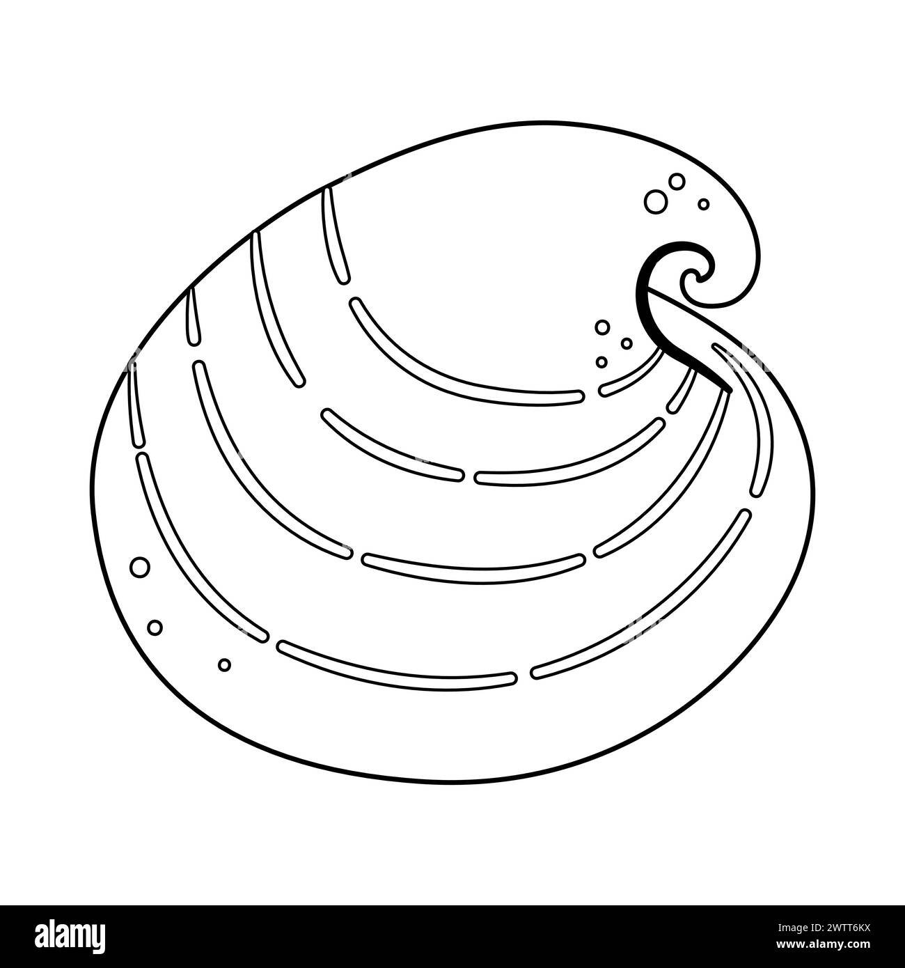 Seashell vector illustration. Black and white outline Seashell Coloring ...