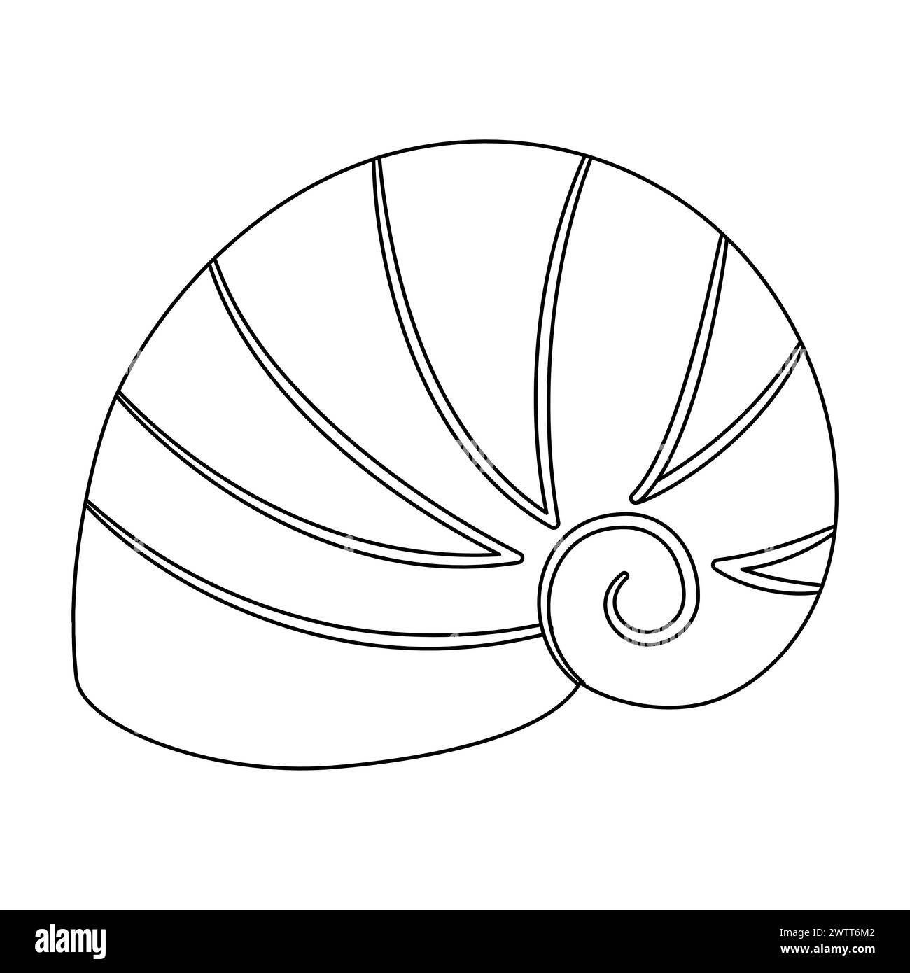 Seashell vector illustration. Black and white outline Seashell Coloring ...