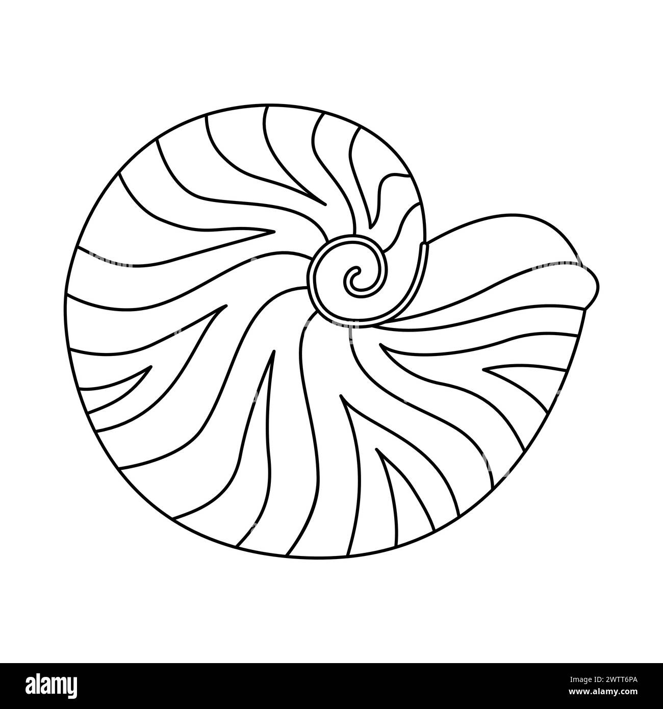 Seashell vector illustration. Black and white outline Seashell Coloring ...