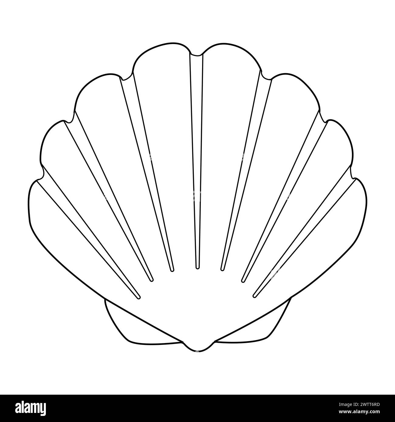 Seashell vector illustration. Black and white outline Seashell Coloring ...