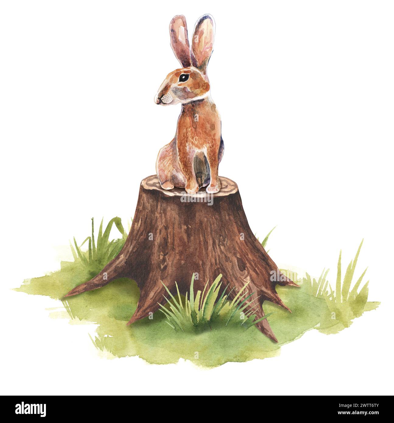 Bunny on the tree stump. Hand drawn illustration. Cute bunny sitting on ...